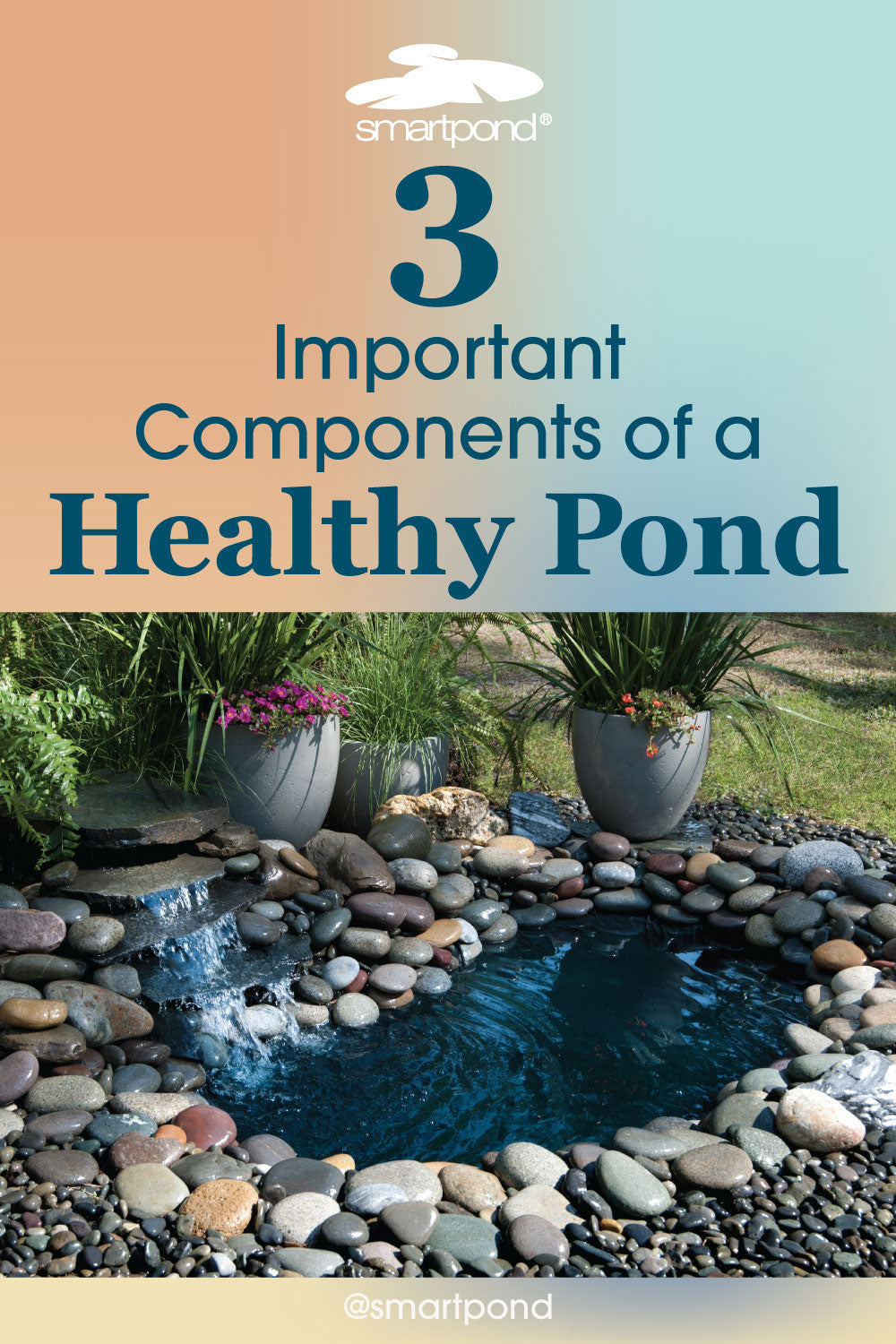 smartpond® Backyard Blog – Three Important Components of a Healthy Pond