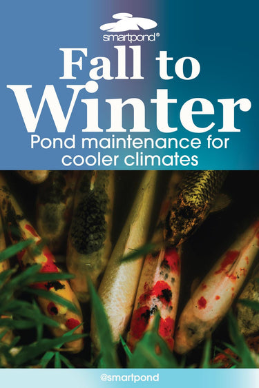 Fall to Winter Maintenance Timeline for Your Pond – smartpond® Backyard ...