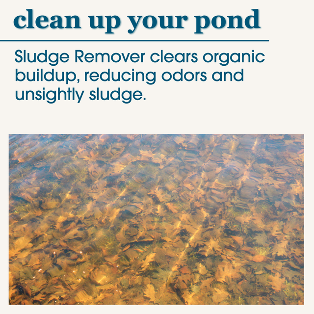 Liquid Sludge Remover, 18 oz. for ponds - smartpond®