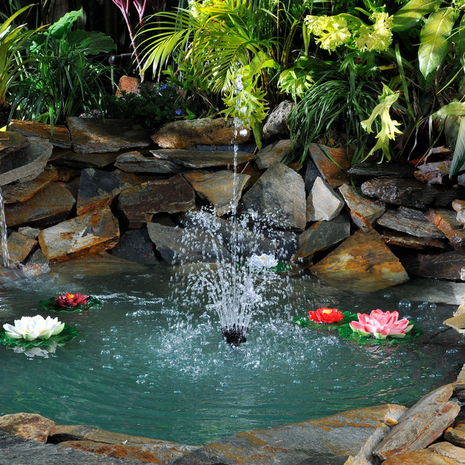How to maintain your pond when you're busy – smartpond
