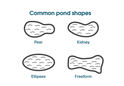 Planning to build a pond – smartpond