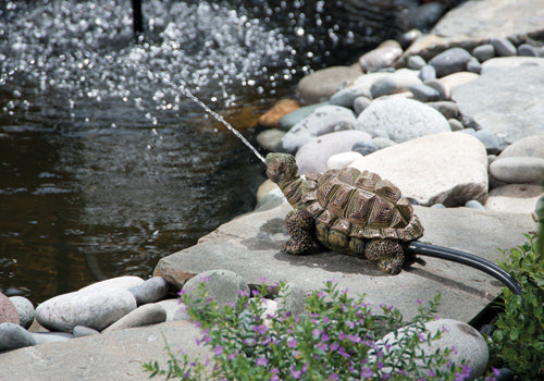 Ultimate Pond Kit Project – smartpond